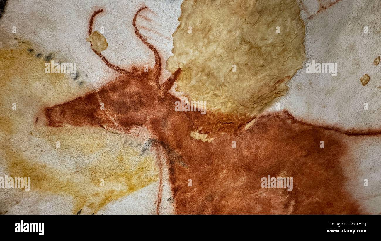 cave paintings in the Lascaux cave Stock Photo - Alamy