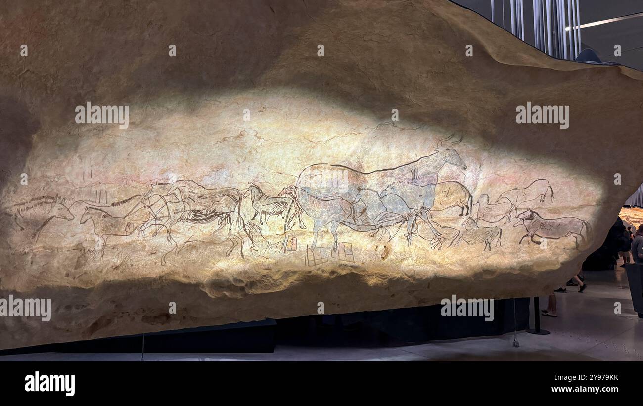 cave paintings in the Lascaux cave Stock Photo - Alamy