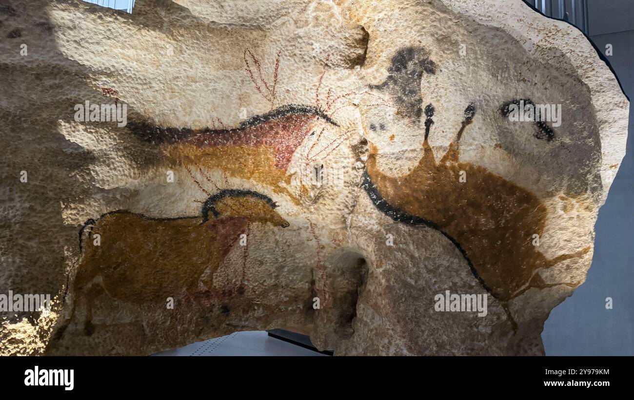 cave paintings in the Lascaux cave Stock Photo - Alamy