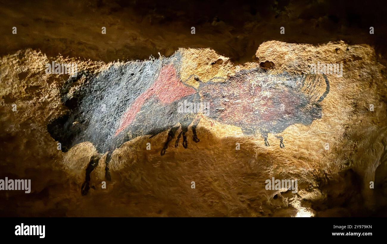 cave paintings in the Lascaux cave Stock Photo - Alamy