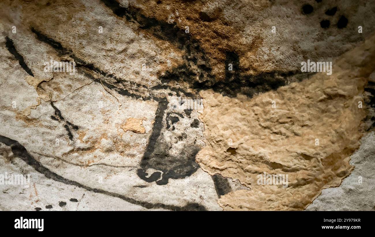 cave paintings in the Lascaux cave Stock Photo - Alamy