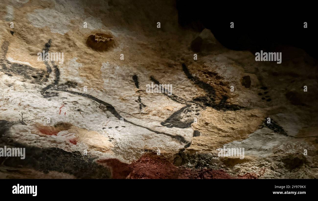 cave paintings in the Lascaux cave Stock Photo - Alamy
