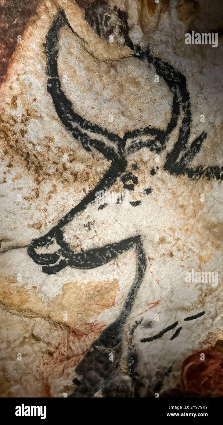 cave paintings in the Lascaux cave Stock Photo - Alamy