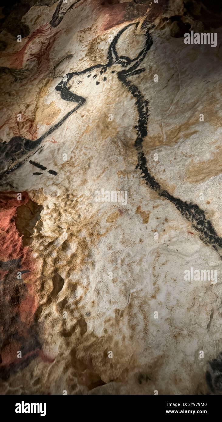 cave paintings in the Lascaux cave Stock Photo - Alamy