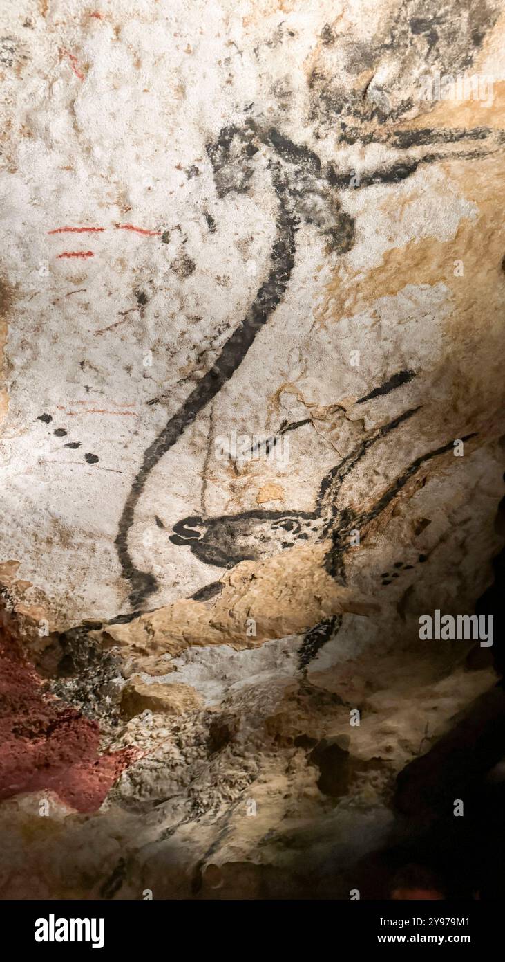 cave paintings in the Lascaux cave Stock Photo - Alamy