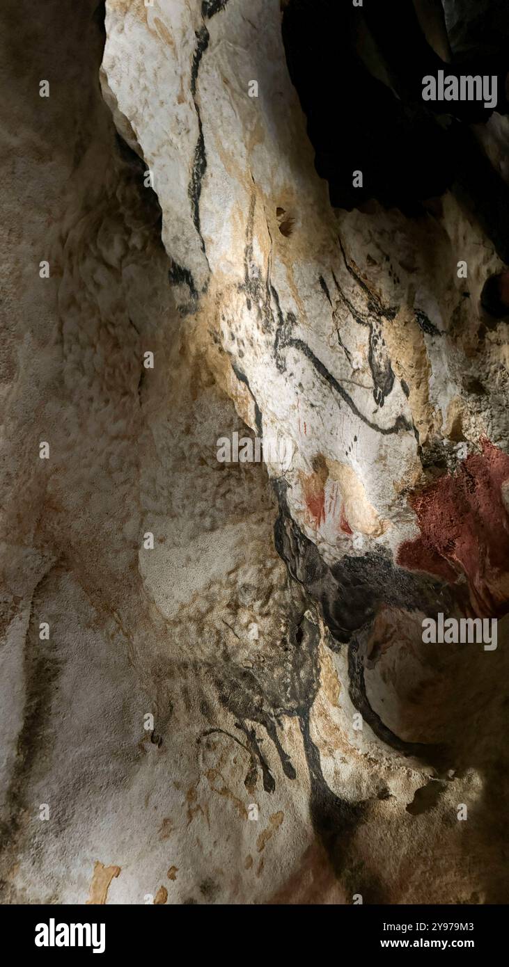 cave paintings in the Lascaux cave Stock Photo - Alamy