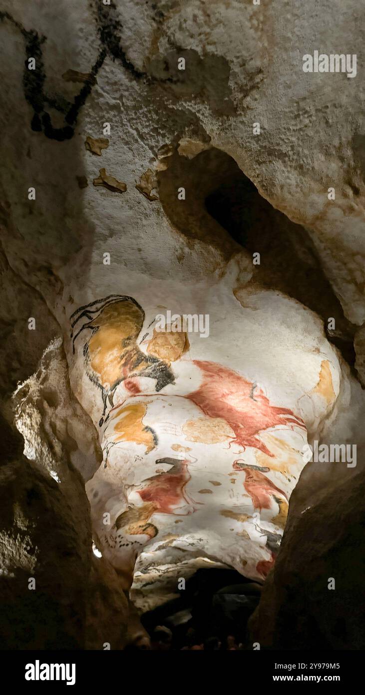 cave paintings in the Lascaux cave Stock Photo - Alamy