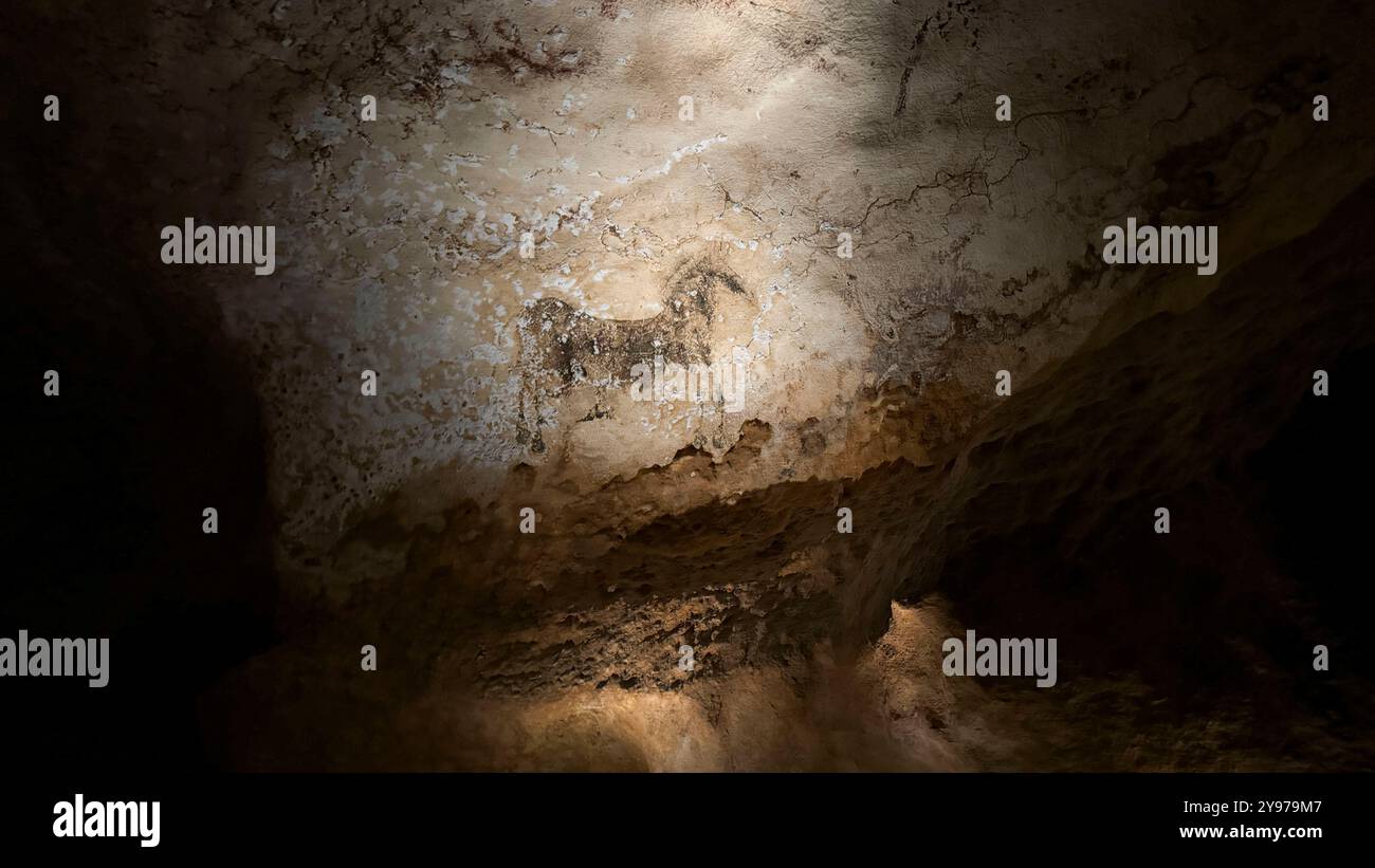 cave paintings in the Lascaux cave Stock Photo - Alamy