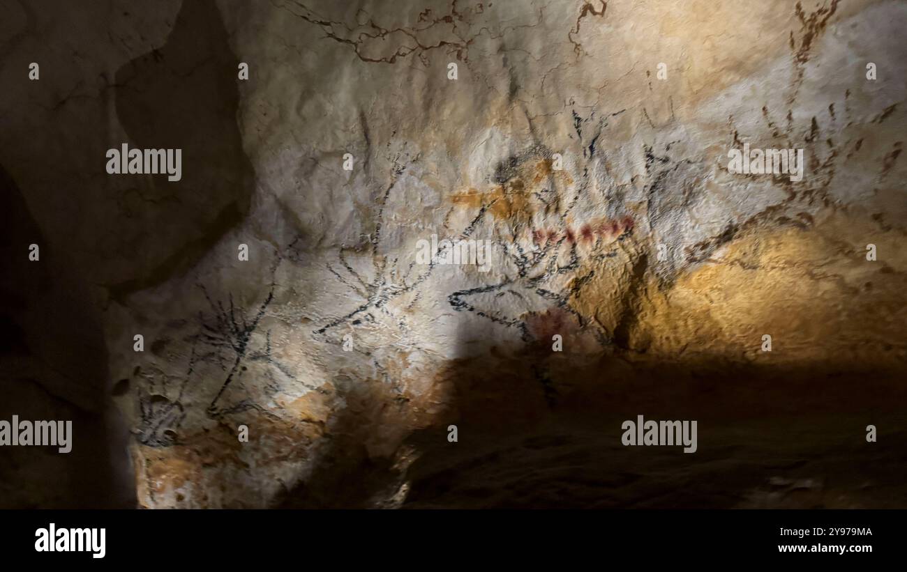cave paintings in the Lascaux cave Stock Photo - Alamy