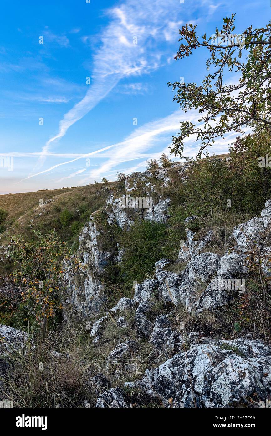 a stunning view of Tureni Gorges with steep cliffs, lush greenery, and ...