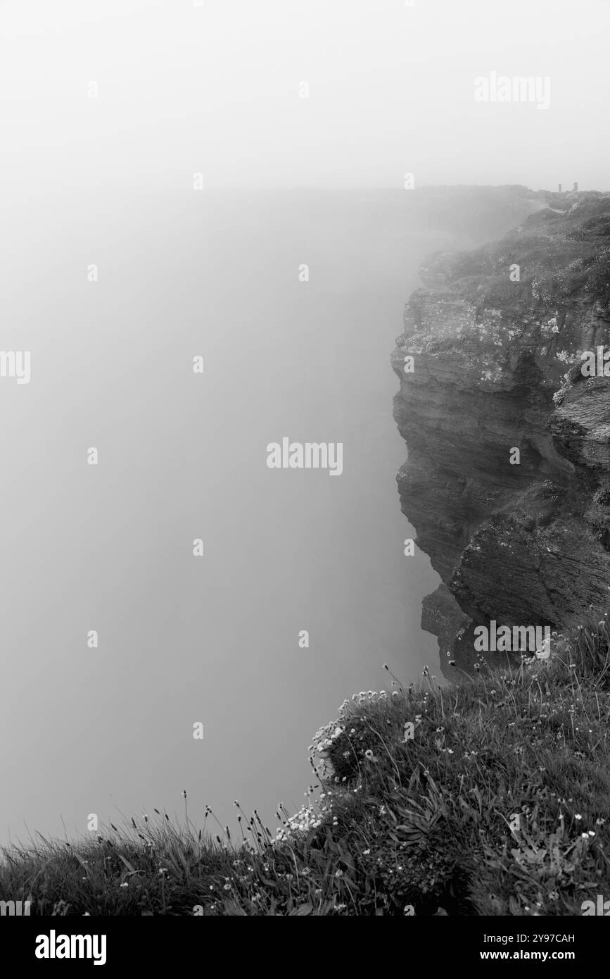 Black and white photo of the Cliffs of Moher in County Clare, Ireland ...
