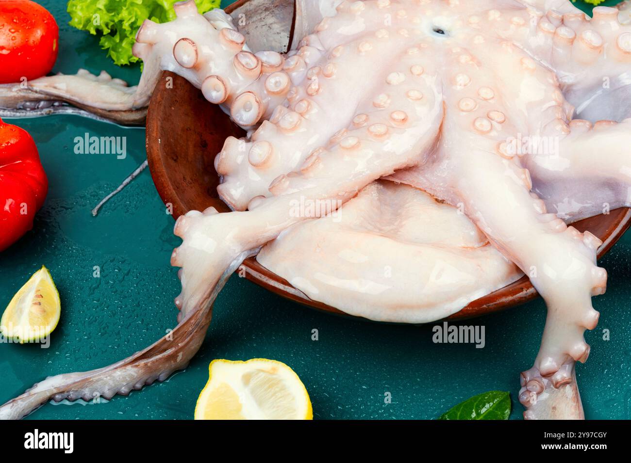 Aw octopus hi-res stock photography and images - Alamy