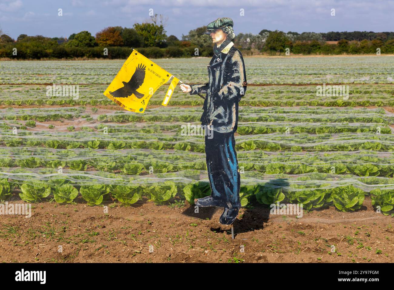 Scarecrow figure of man holding flag bird of prey to scare birds away ...