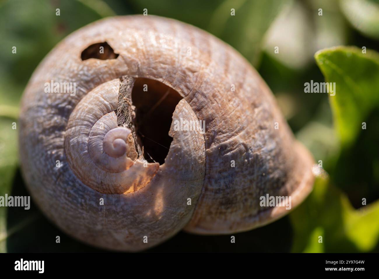 Fiestas pascuas hi-res stock photography and images - Alamy