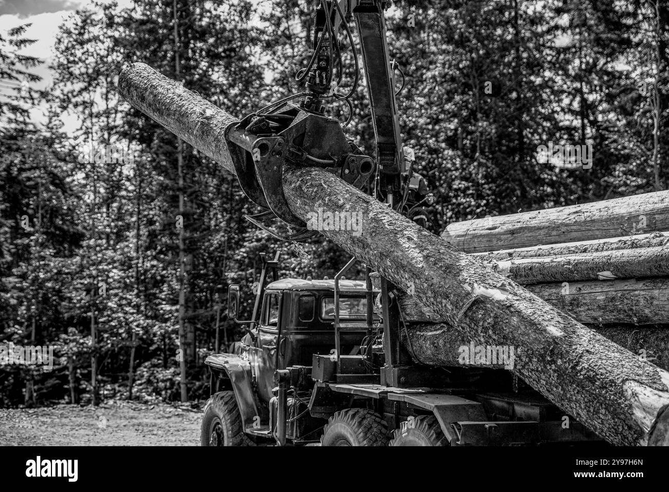 Forest industry. Lumberjack with modern harvester working in a forest ...