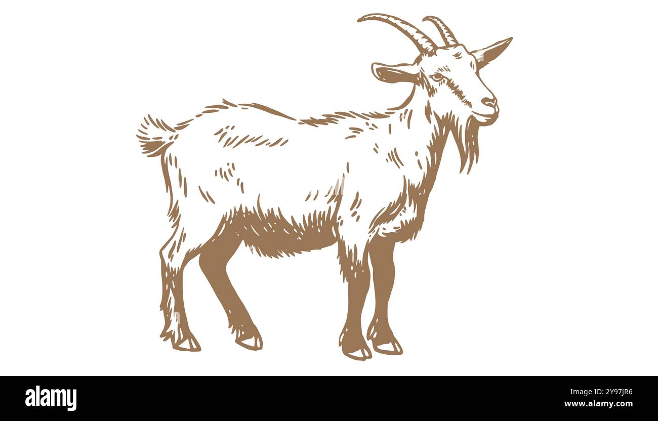Goat. Vintage retro print, black white Stock Vector Image & Art - Alamy