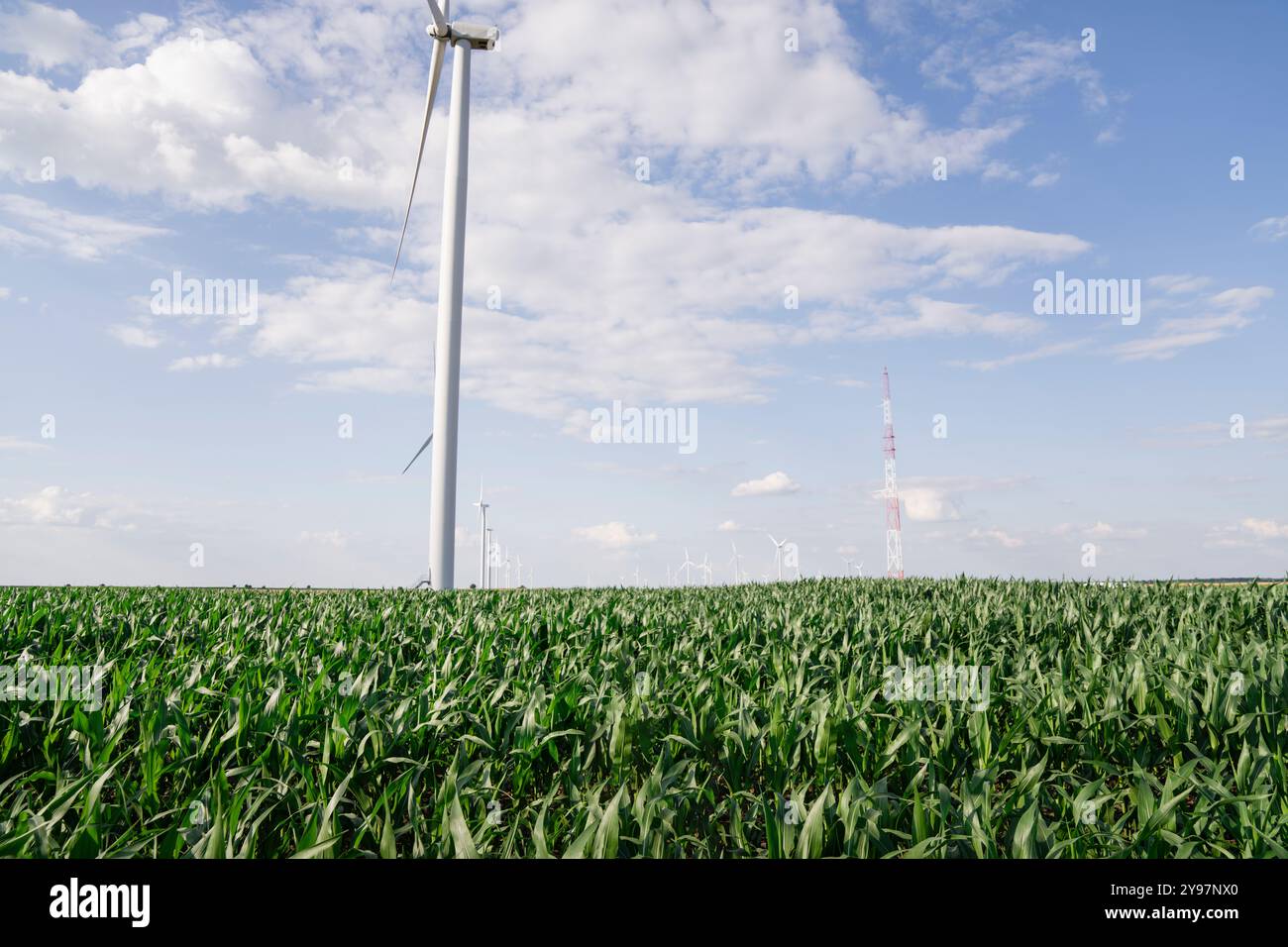 Wind turbines on an agricultural field. Sustainable energy Stock Photo ...