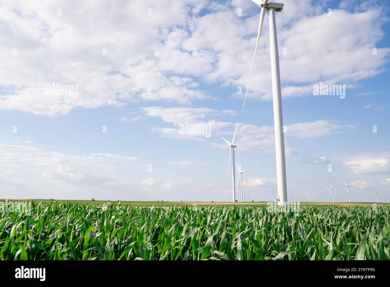 Wind turbines on an agricultural field. Sustainable energy Stock Photo ...