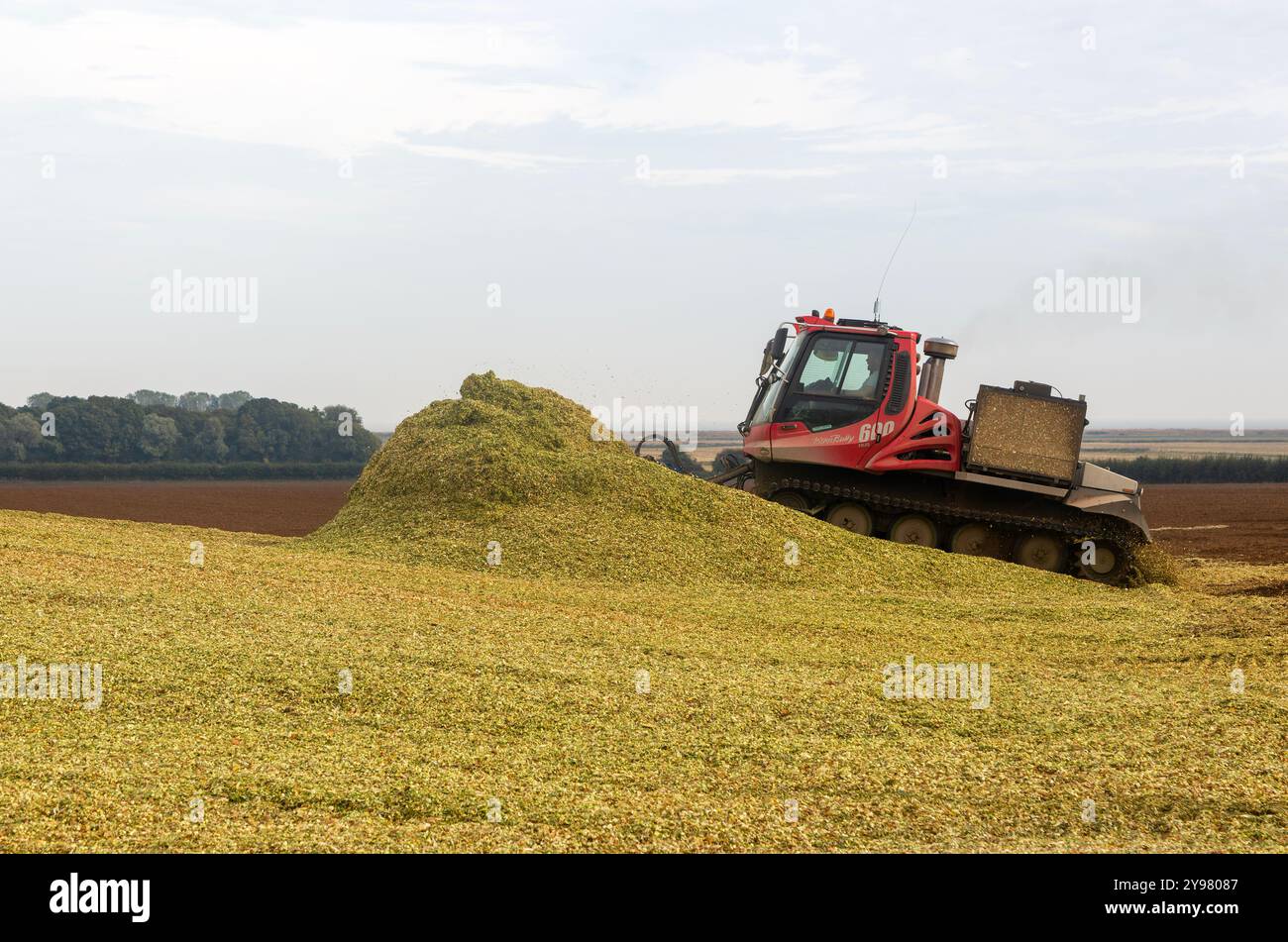 Piston Bully tracked bulldozer vehicle building silage clamp of ...