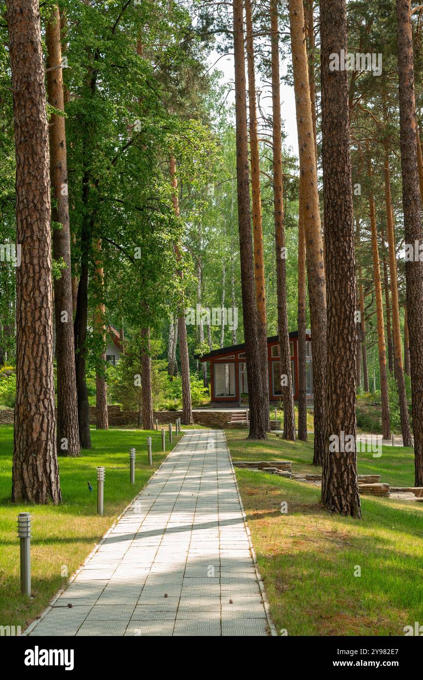 Explore tranquil serene forest features hi-res stock photography and ...