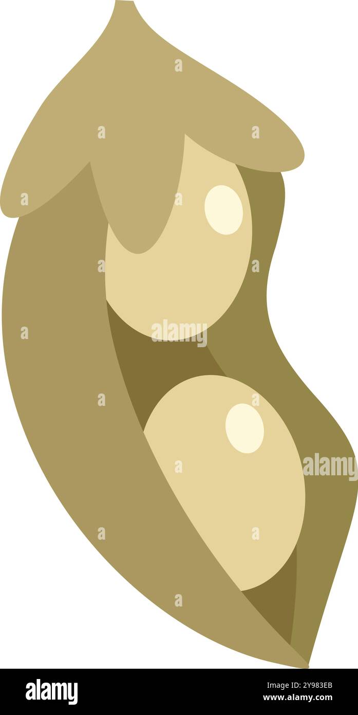 Open pea pod revealing seeds inside growing on white background Stock ...