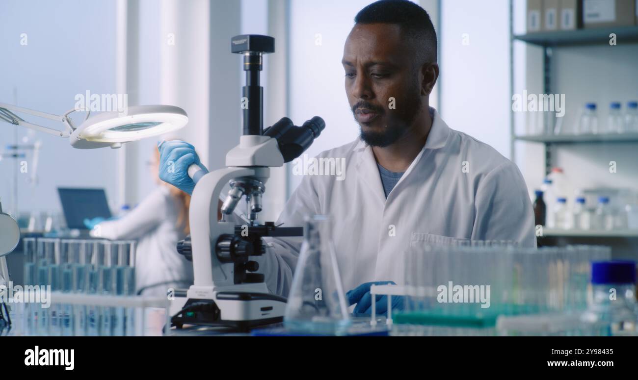 African American scientist looks under microscope, studies samples of ...
