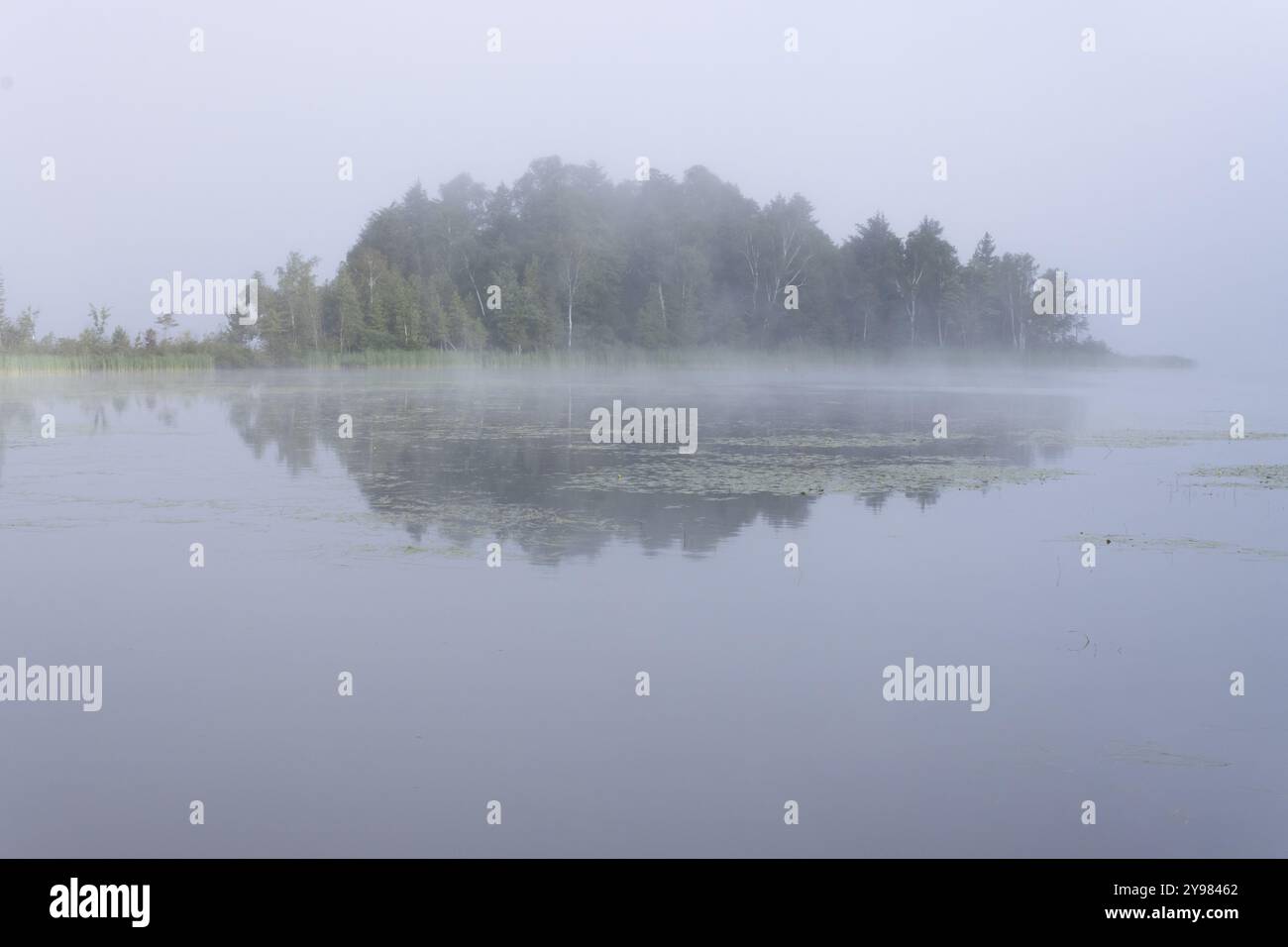 An island emerges on a lake on a misty morning, with a mirage-like ...