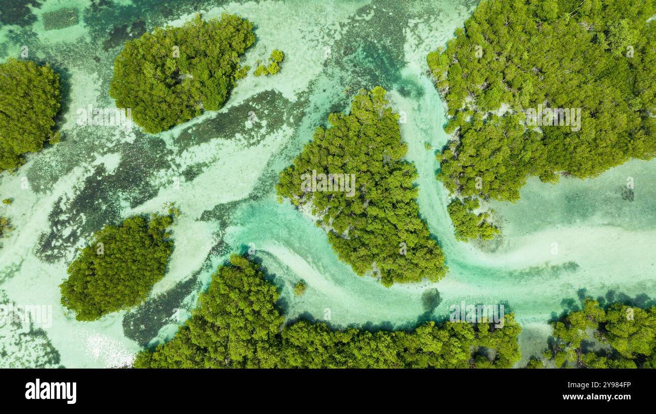 Aerial view of islands in a beautiful lagoon. Tropical landscape ...