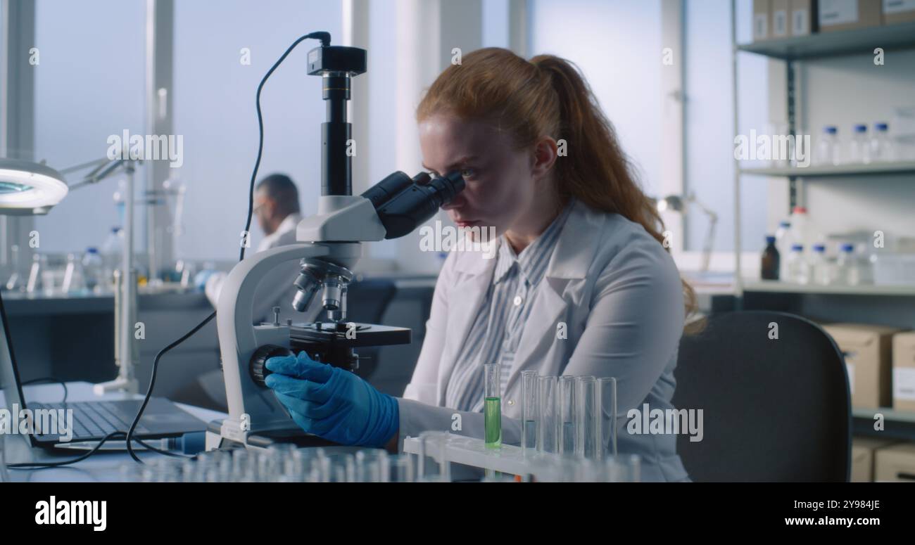 Woman uses laptop computer dolly hi-res stock photography and images ...