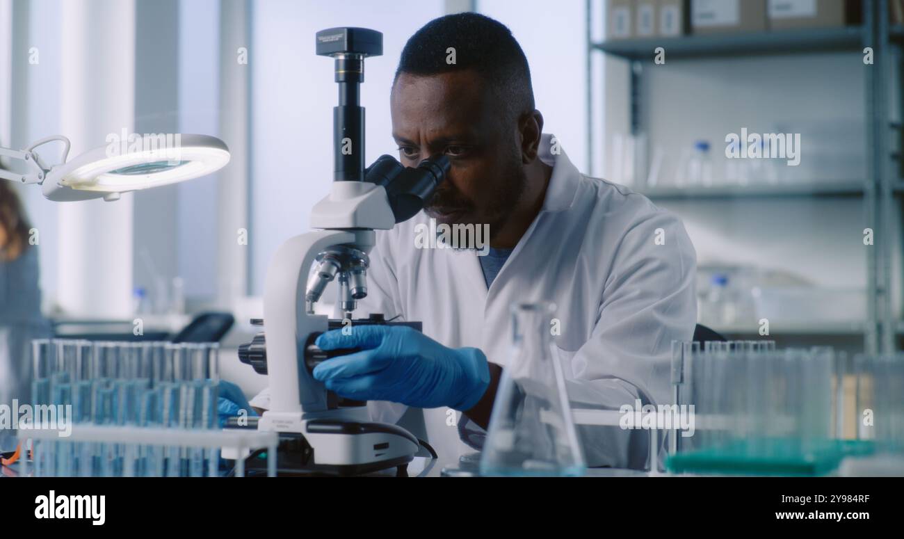 African American scientist looks under microscope, studies samples of ...
