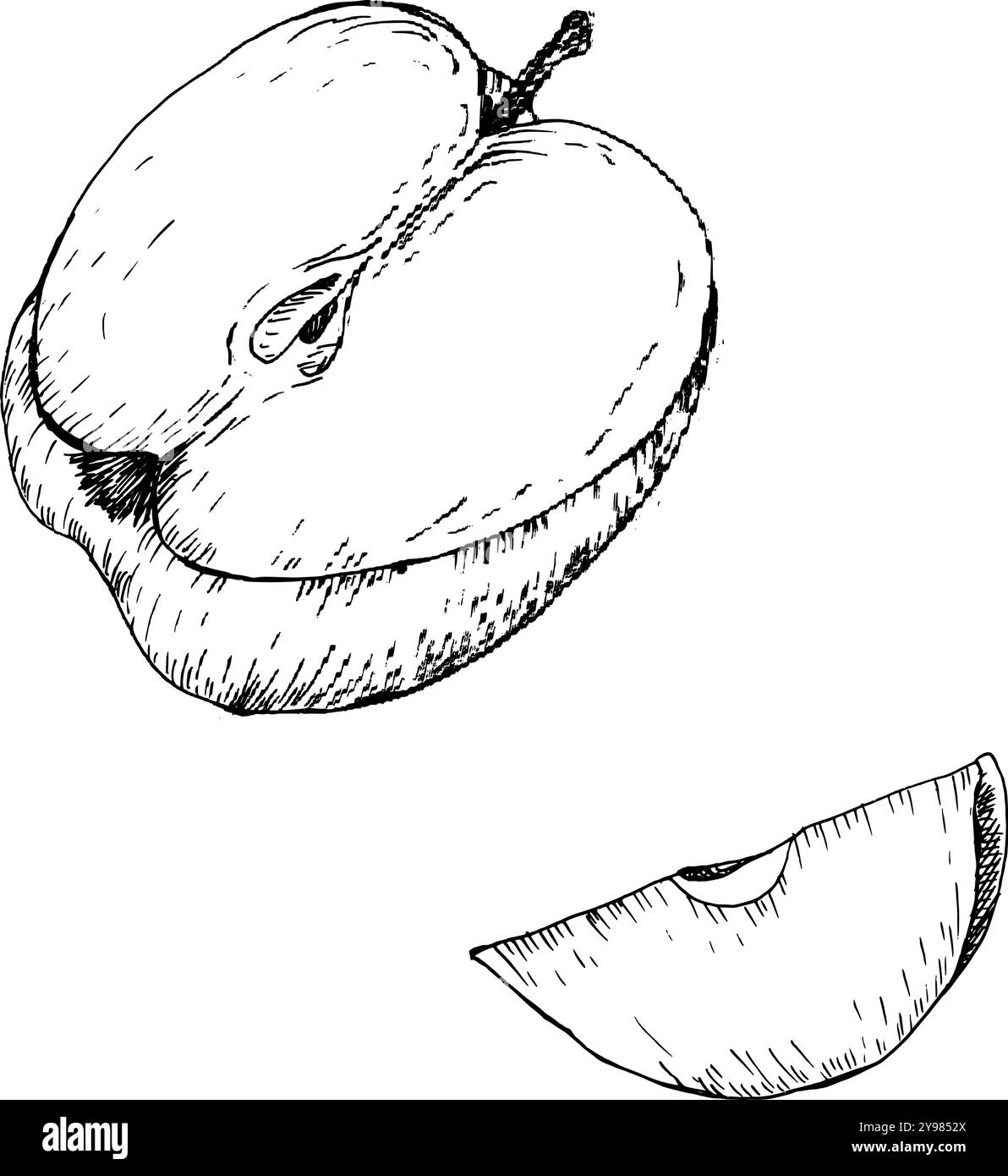 Fresh apple harvest in Black and White Stock Photos & Images - Alamy