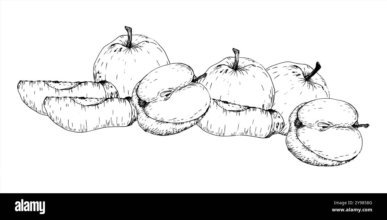 Fresh apple fruits composition. Autumn harvest season food, gardening ...