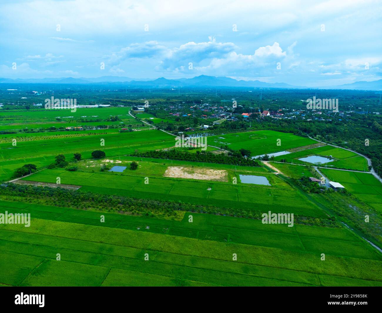 Aerial view of green rice fields and rural villages against a ...
