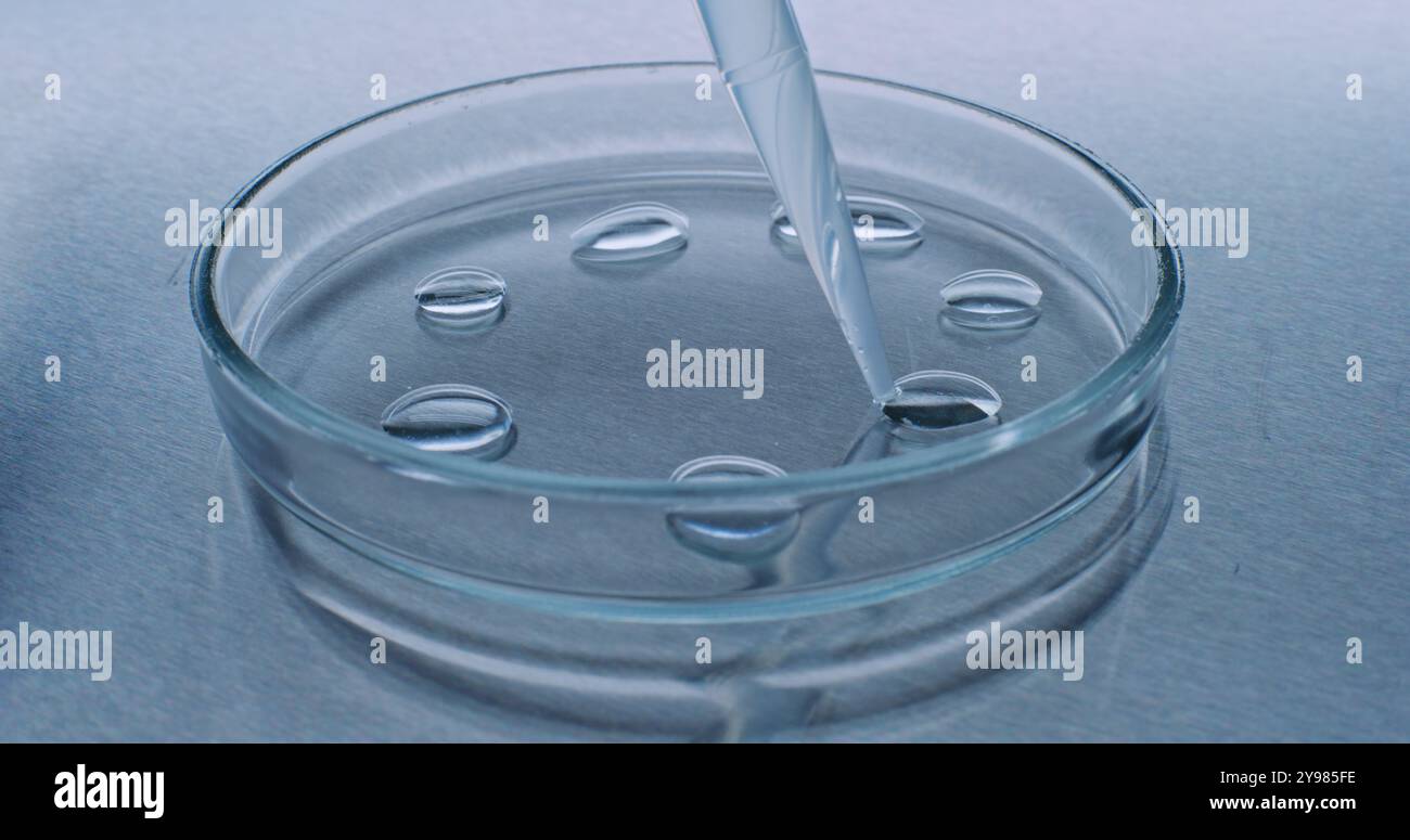 Professional chemist scientist pouring drops hi-res stock photography ...