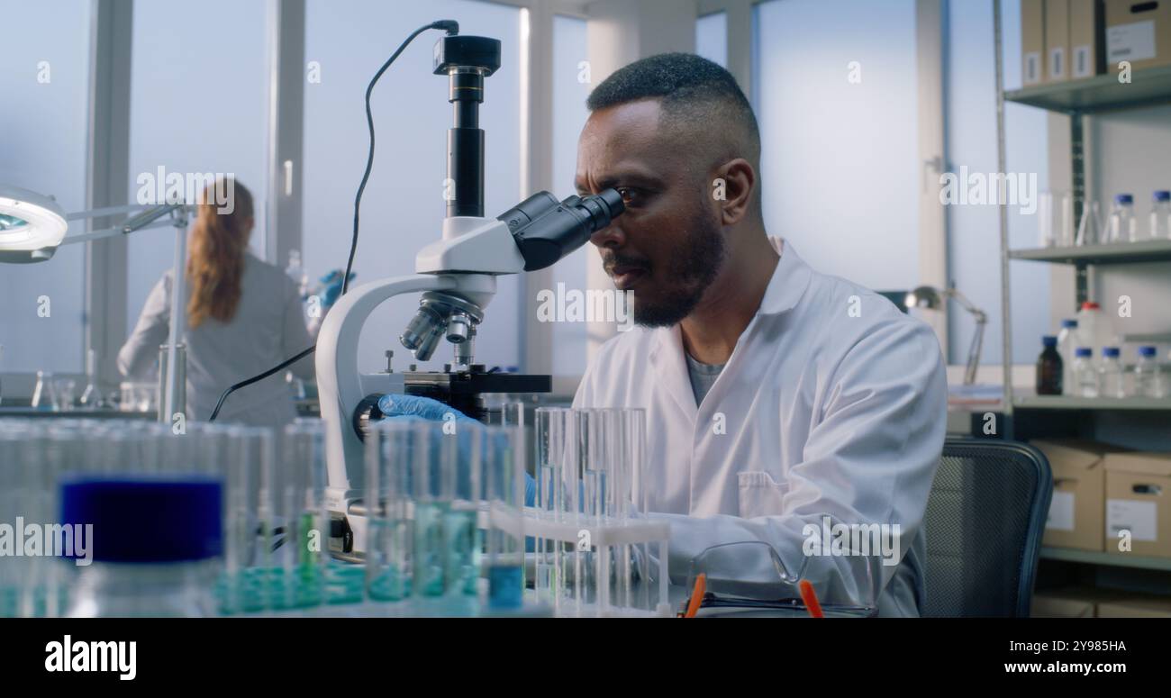 Bright medical science lab: African American microbiologist looks under ...