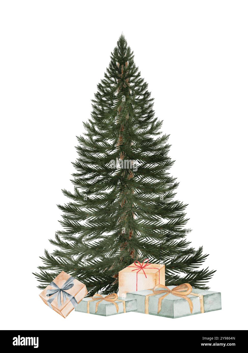 Christmas tree watercolor with gifts. Hand drawn vintage evergreen tree ...