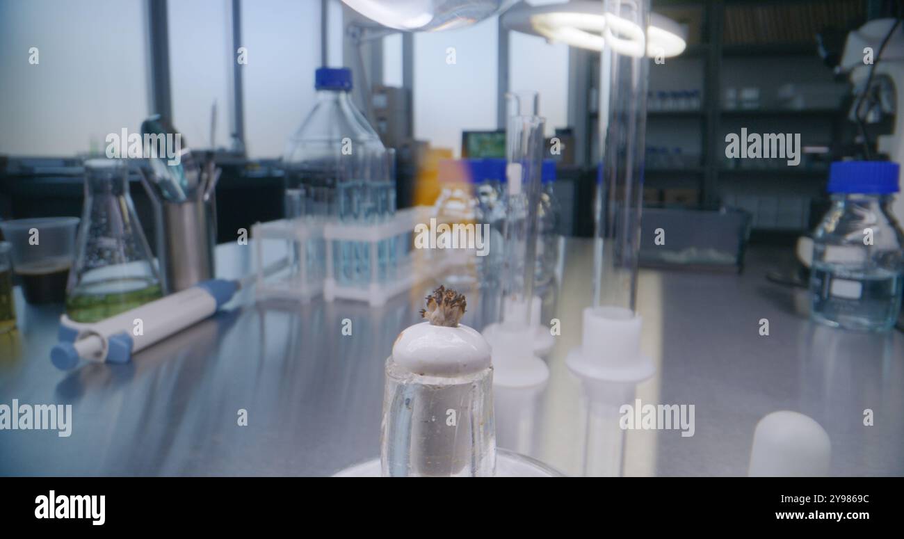 Medical science lab: Close up of professional chemist lighting alcohol ...