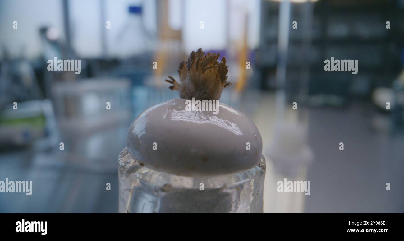 Lights in research lab hi-res stock photography and images - Alamy