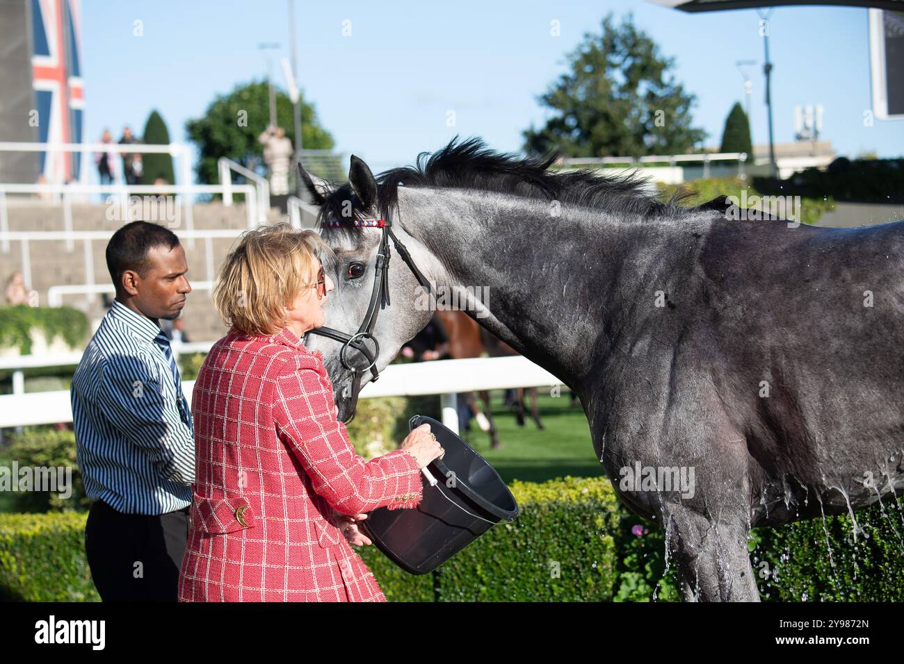 Sunfall ascot hi-res stock photography and images - Alamy