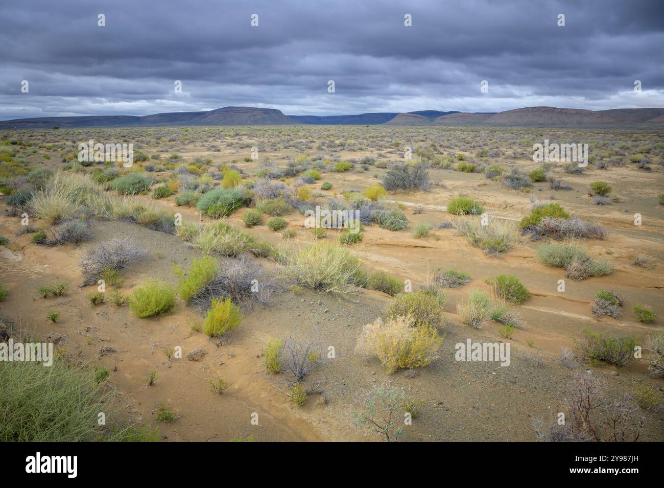 Karoo desert south africa hi-res stock photography and images - Alamy