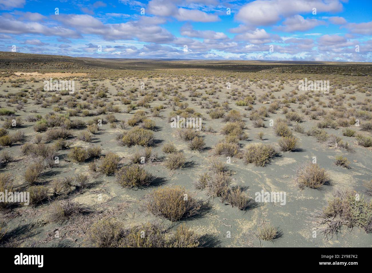 Typical desert landscape at Karoo Hoogland, Northern Cape, South Africa ...
