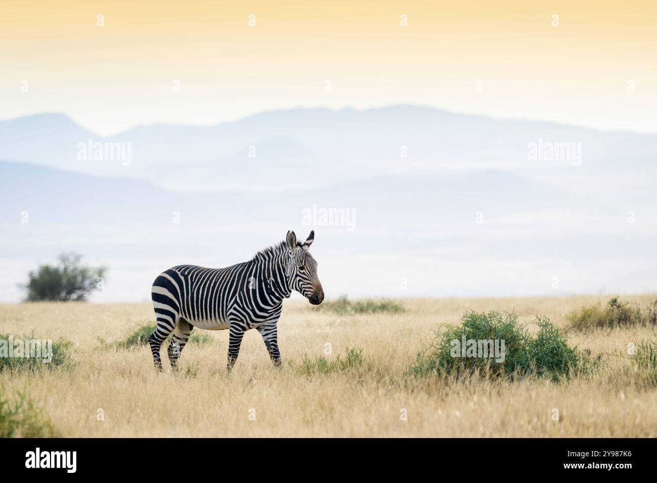 Karoo highlands hi-res stock photography and images - Alamy