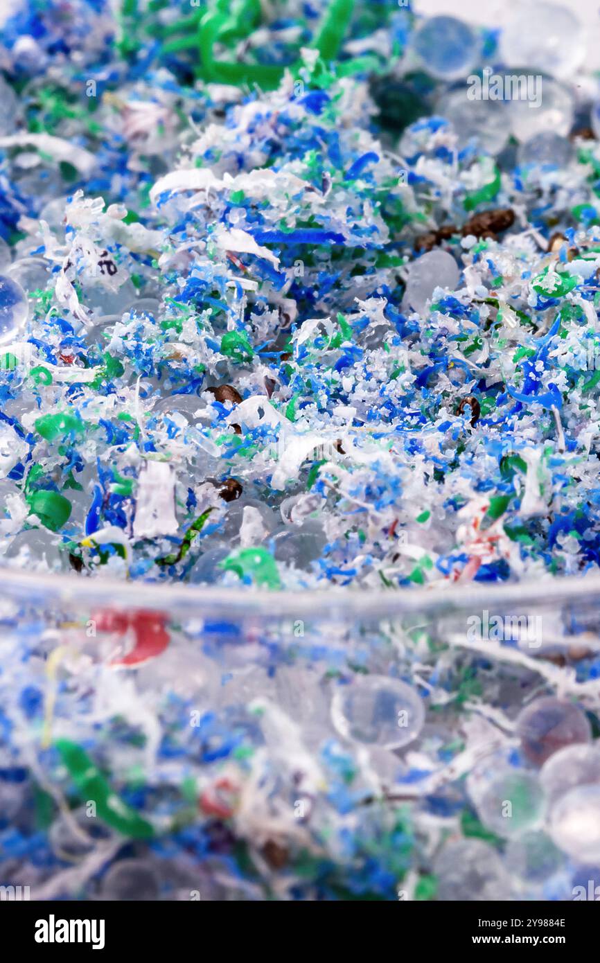 traces of plastic and microplastic in petri dishes, the main pollutant ...