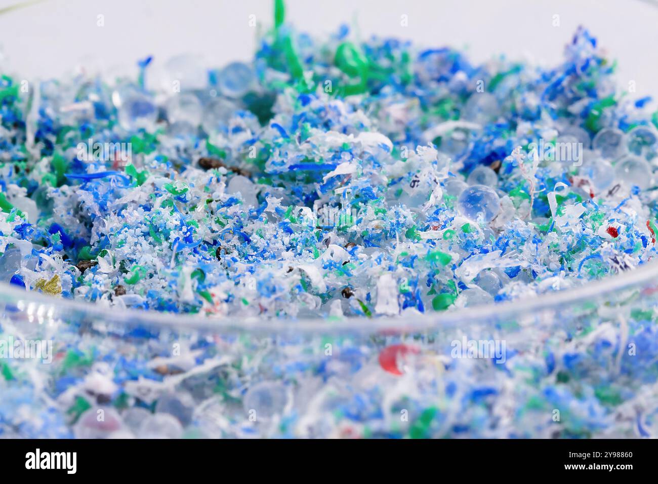 traces of plastic and microplastic in petri dishes, the main pollutant ...