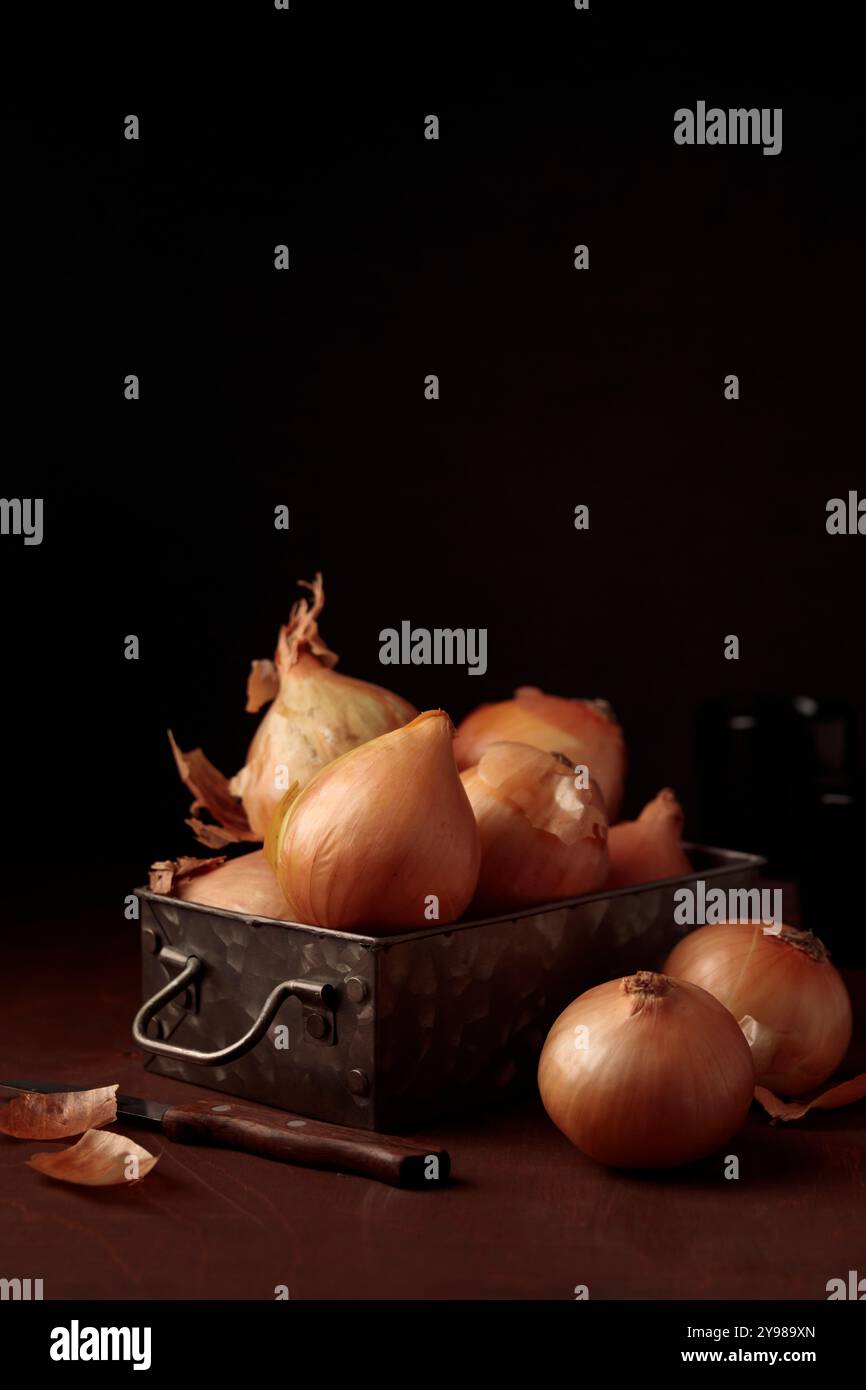 Fresh harvest yellow onion bulbs with peel in a vintage metal box on a ...