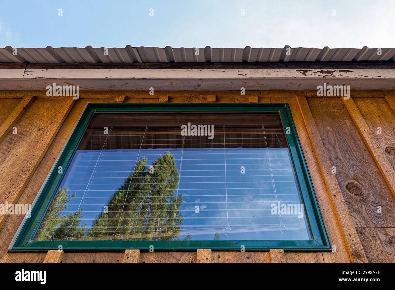 Trees are reflected in the window of a cabin in the woods Stock Photo ...
