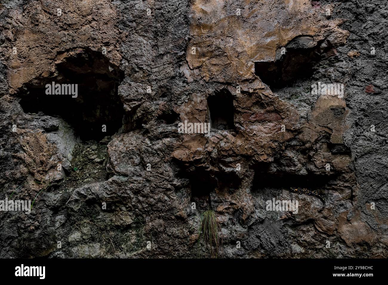 Salamander rock hole hi-res stock photography and images - Alamy