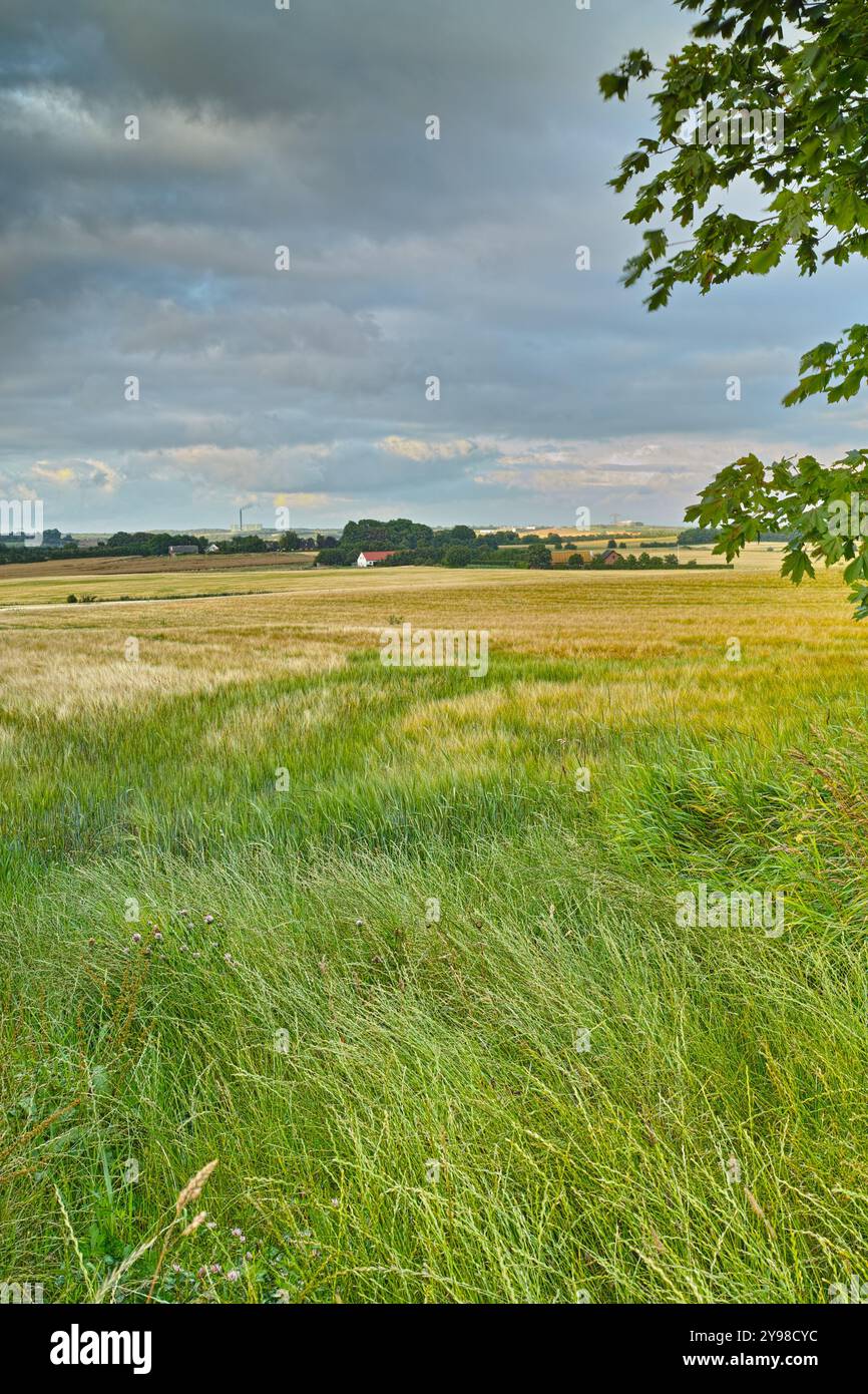 Nature, landscape and sky with grass in meadow, field and outdoors for ...