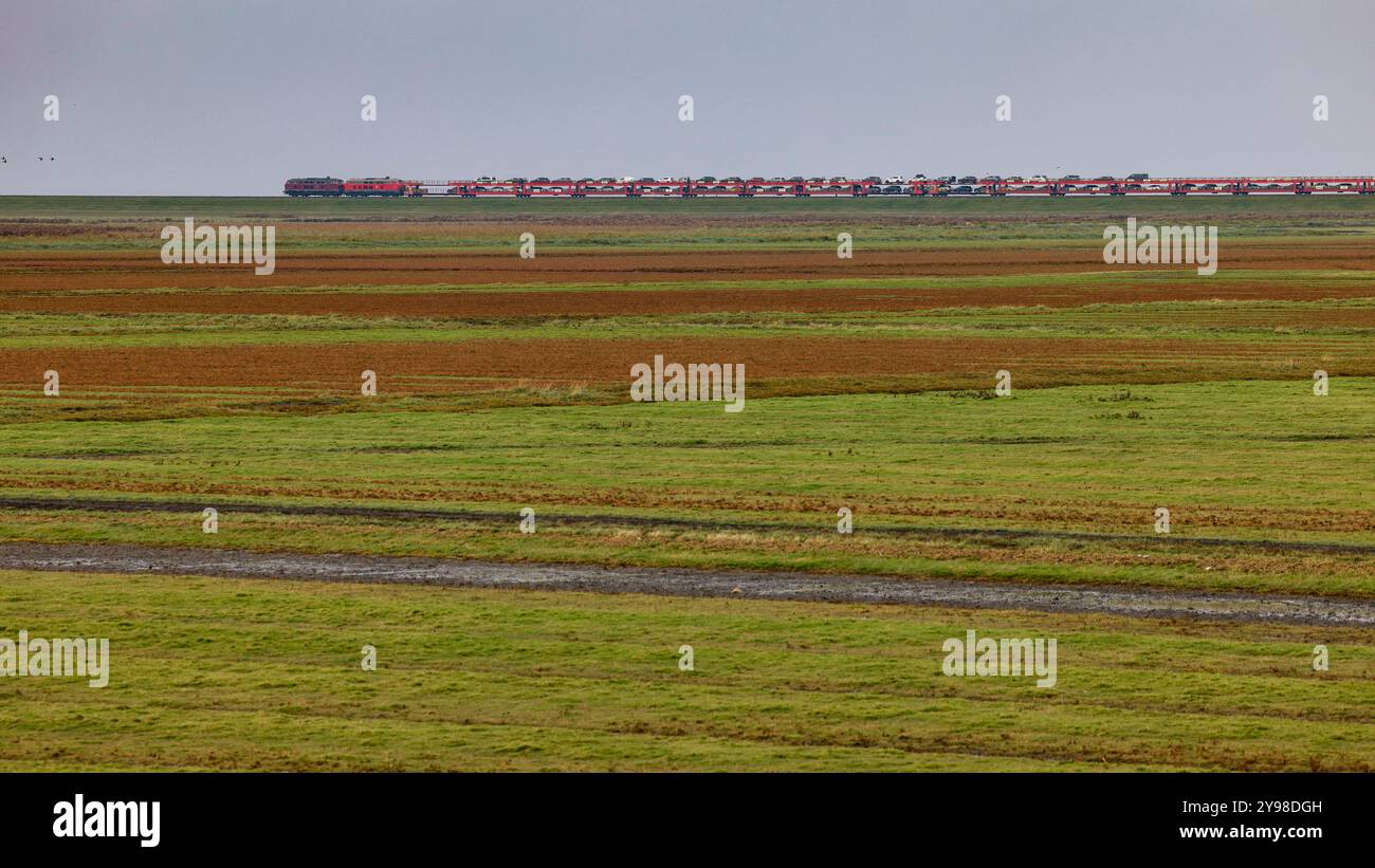 PRODUCTION - 08 October 2024, Schleswig-Holstein, Klanxbüll: A car ...