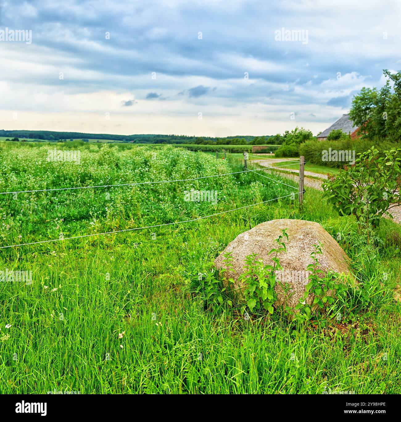 Nature, landscape and rock in grass, meadow and field for environment ...